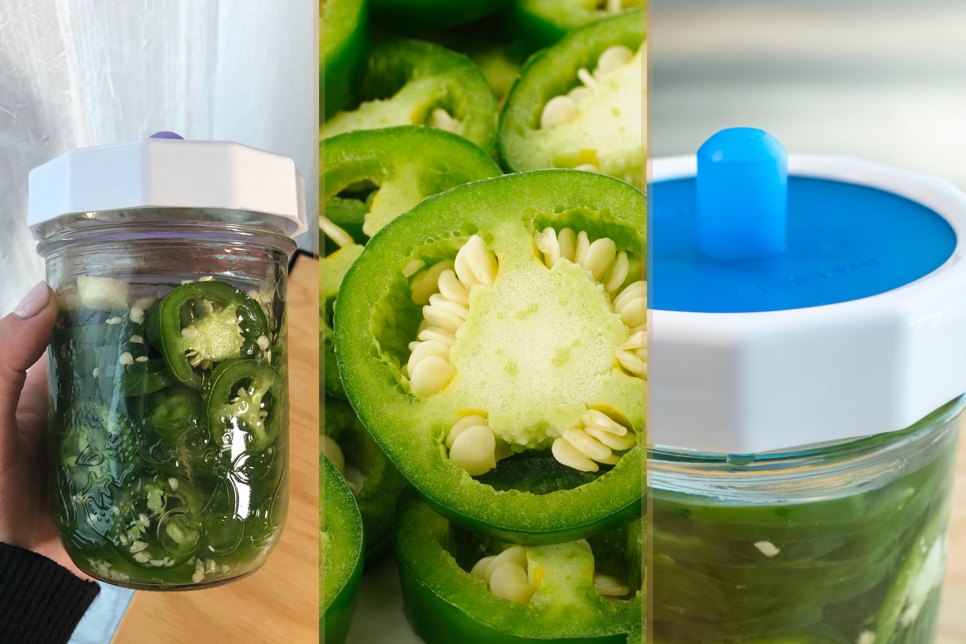 Delicious Fermented Jalapeños with Garlic Recipe - Masontops.com