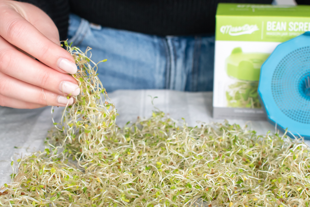 Masontops Blog - Masontops.com