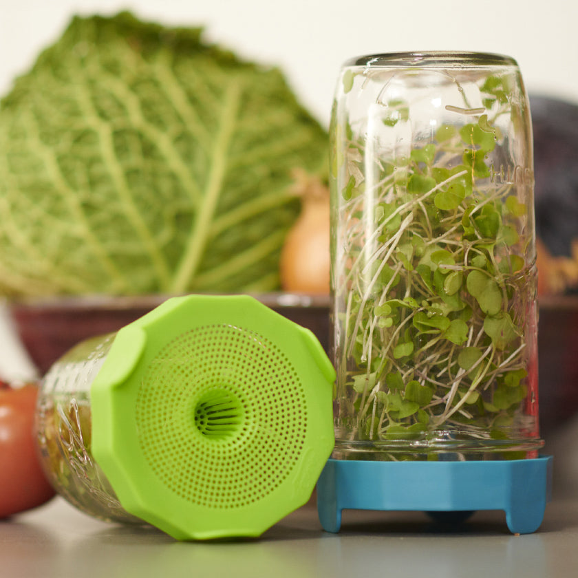 Masontops - Lids & Accessories for Mason Jars