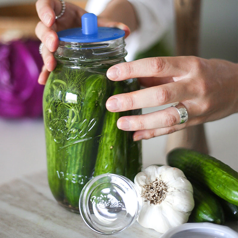 Free Recipe Guides - Masontops.com